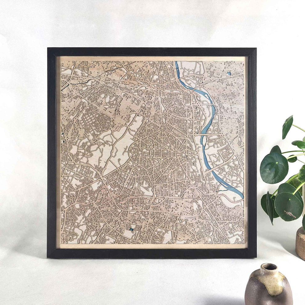 Detailed map of New Delhi - engraved, topographic, wall art - CityWood